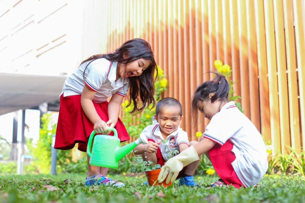 The IB Primary Years Programme (PYP) - International Schools of North ...