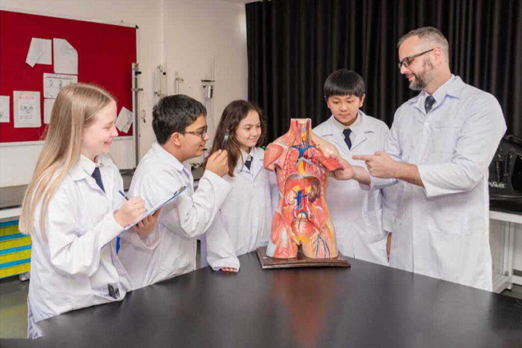 The IB Middle Years Programme (MYP) - International Schools of North ...